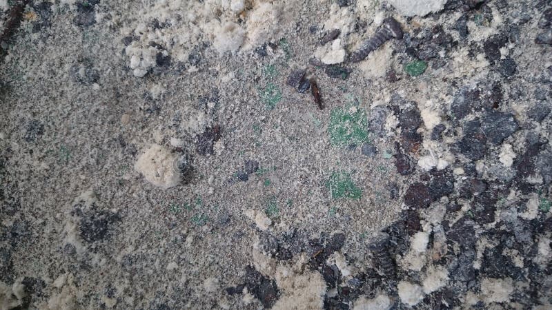 Limestone Chips and Iron that Crumble at Eating Age Stock Photo - Image ...