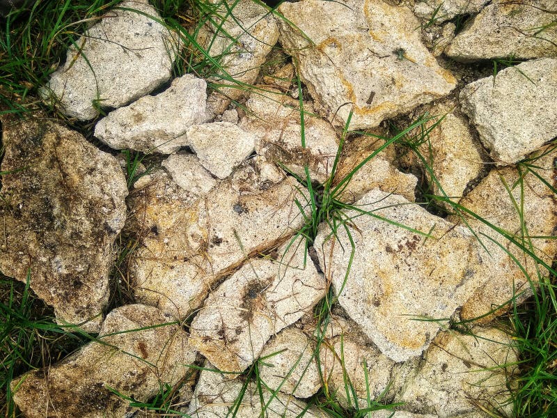 Limestone chunks stock image. Image of geology, soil - 206001907