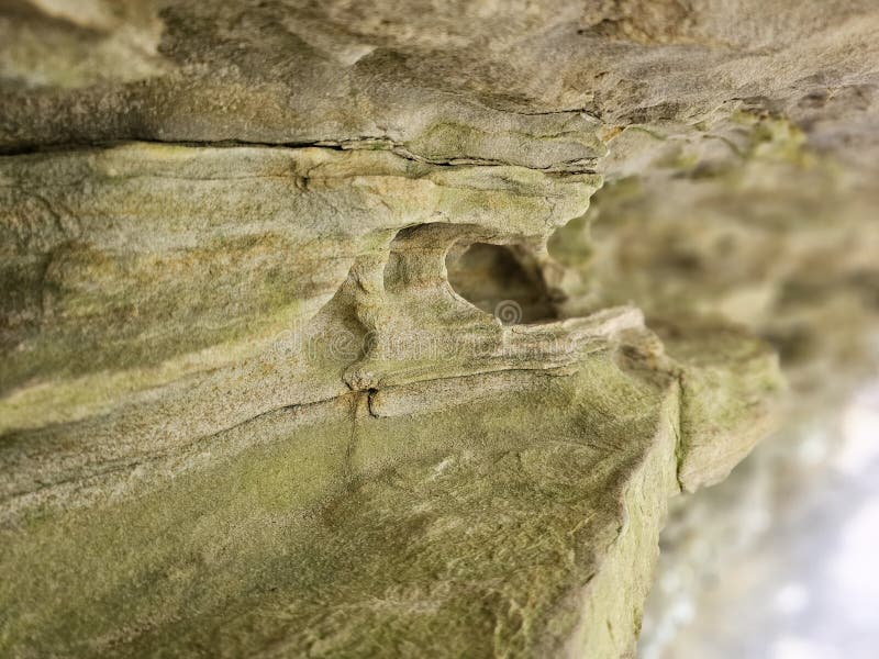 Limestone Cliff of Ausable Chasm Canyon Stock Photo - Image of plant ...