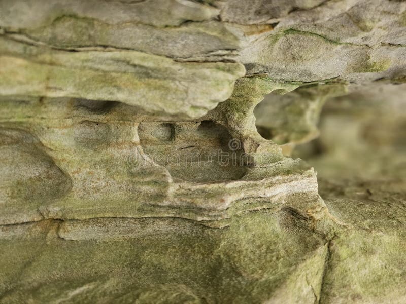Limestone Cliff of Ausable Chasm Canyon Stock Photo - Image of tree ...