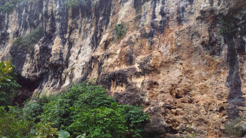 Limestone Cliffs in the Siung Beach Area and are in the Climbing Spot ...