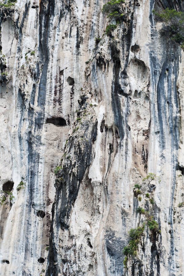 Limestone cliffs textures stock image. Image of wall - 45794305