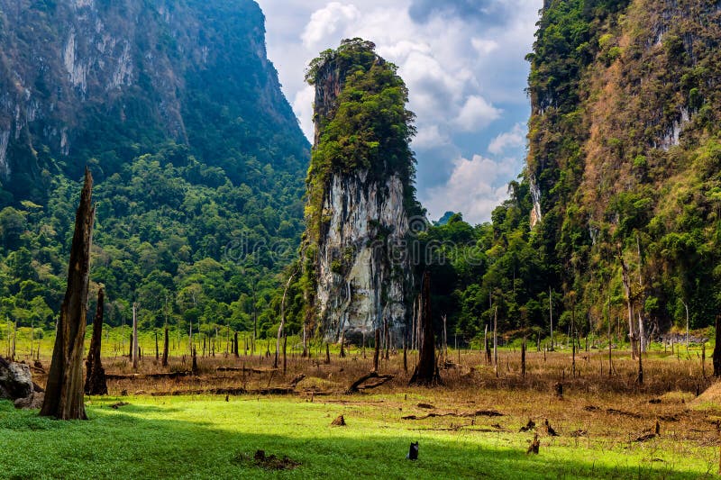 Limestone Cliffs and Tropical Jungle in a Remote Wilderness Stock Image ...