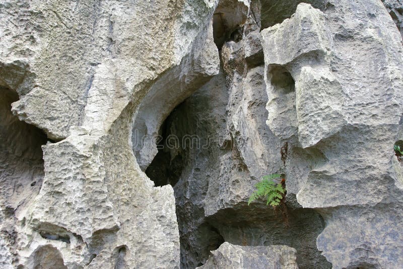 Limestone stock photo. Image of limestone, grey, crack - 34942936