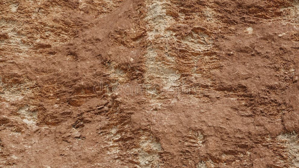 Limestone is a Common Type of Carbonate Sedimentary Rock Which is the ...