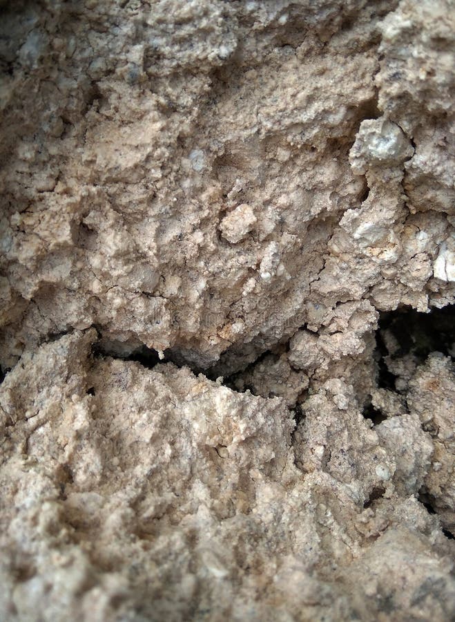 Limestone Cracks Due To Rain Stock Photo - Image of plant, soil: 207640346