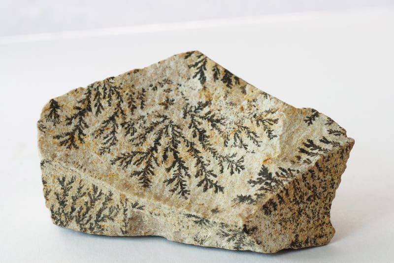 Limestone with Crystallization Mineral on White Stock Image - Image of ...