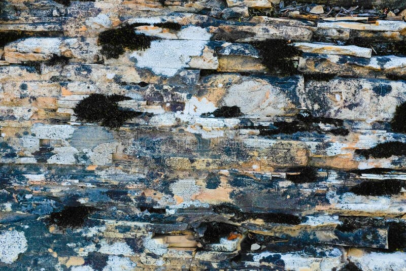 Limestone and Dolostone Texture Stock Image - Image of sediment ...