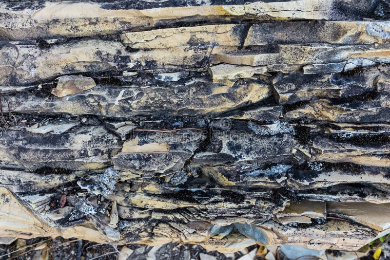 Limestone and Dolostone Texture Stock Image - Image of sediment ...