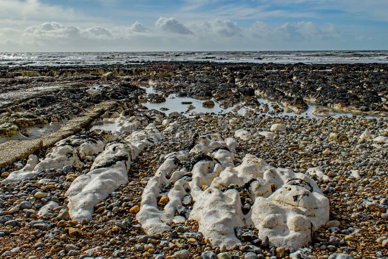 Limestone Erosion Down on the Rocky Beach Stock Photo - Image of ...