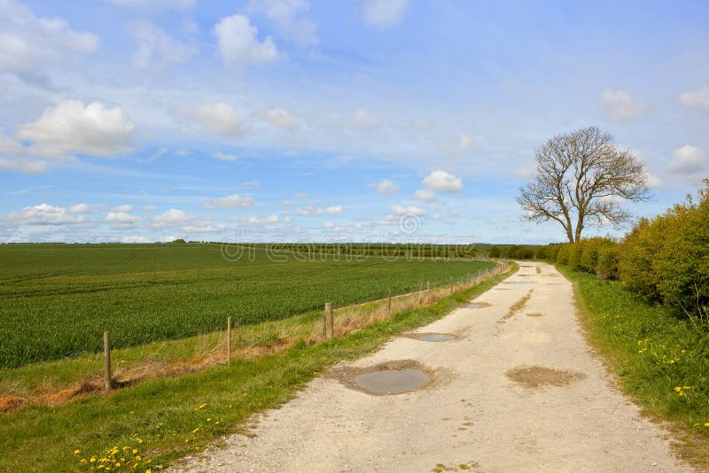 Limestone farm track stock photo. Image of farmland, springtime - 91735676