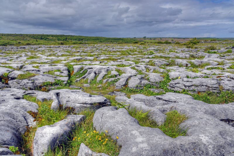 Limestone Field in the Burren, Ireland Stock Photo - Image of celtic ...