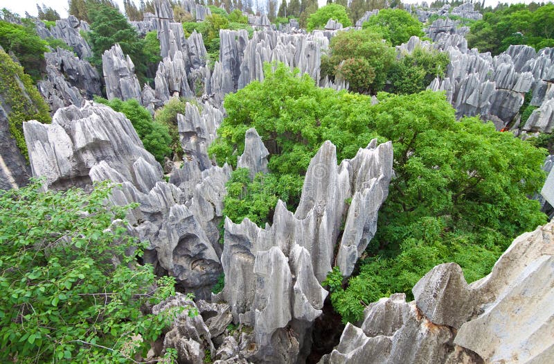 Limestone Forest At Kunming Stone Forest Or Shilin Stock Photo - Image ...