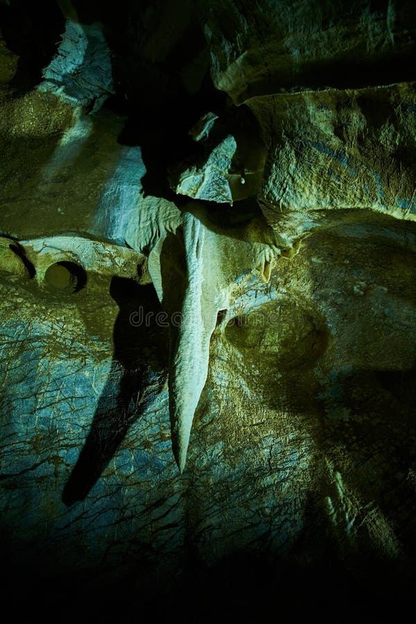 Limestone Formations Inside Macocha Caves Stock Photo - Image of park ...