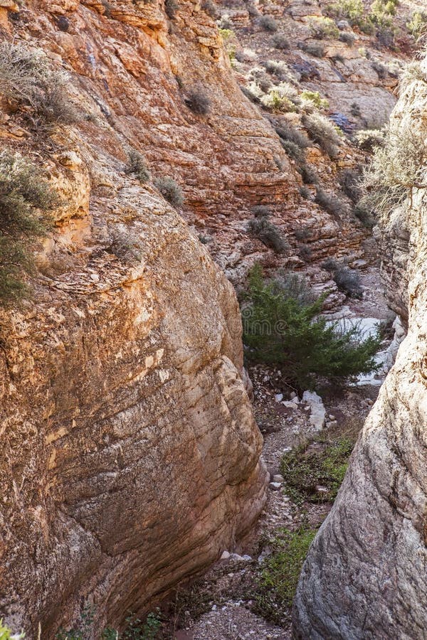 Limestone Gorge stock photo. Image of canyon, juniper - 29020466