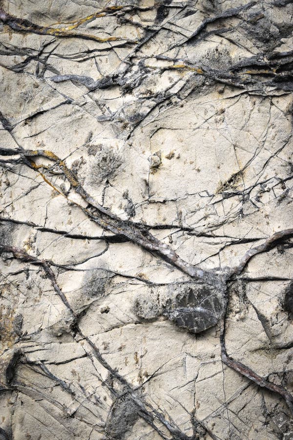 Quartz Veins through Sedimentary Rock Stock Photo - Image of geological ...