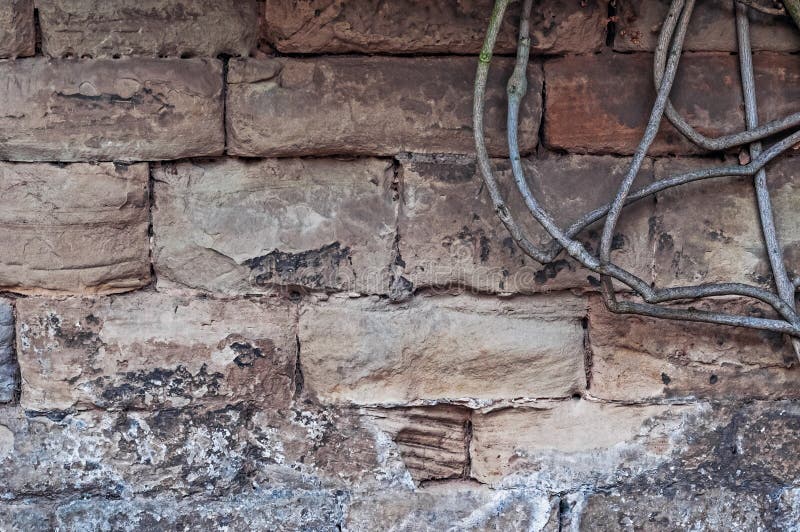 1,128 Brick Medieval Blocks Stock Photos - Free & Royalty-Free Stock ...