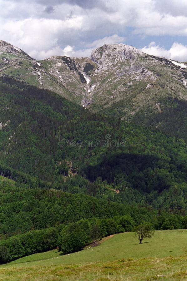 Limestone mountain stock photo. Image of alpine, romania - 9836018