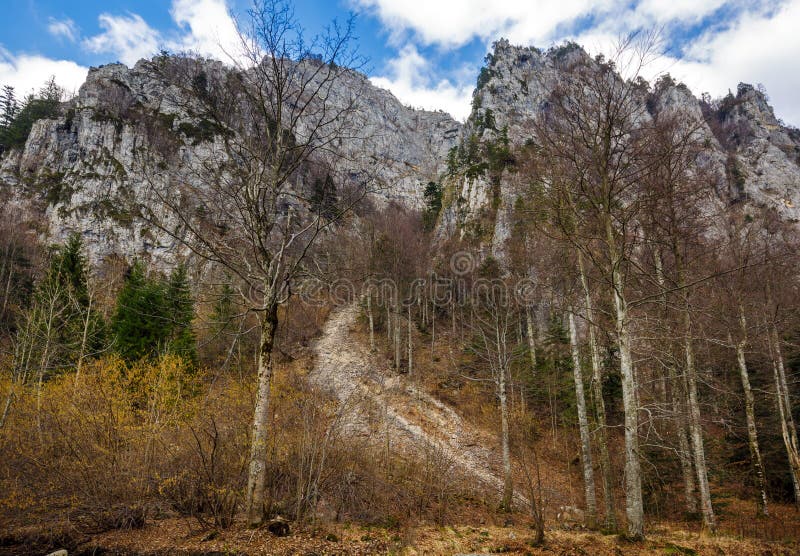 Limestone Mountains and Forest Stock Image - Image of massif, green ...