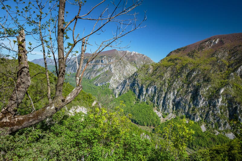 Limestone mountains stock photo. Image of covered, green - 70775288