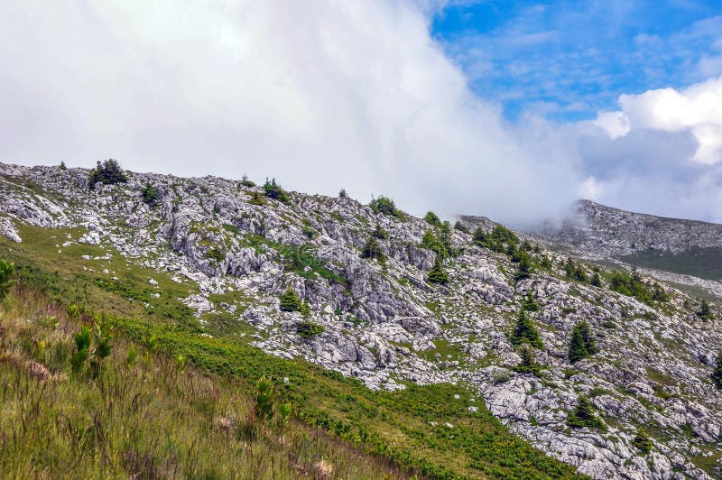 Limestone mountains stock photo. Image of green, mountains - 67229380