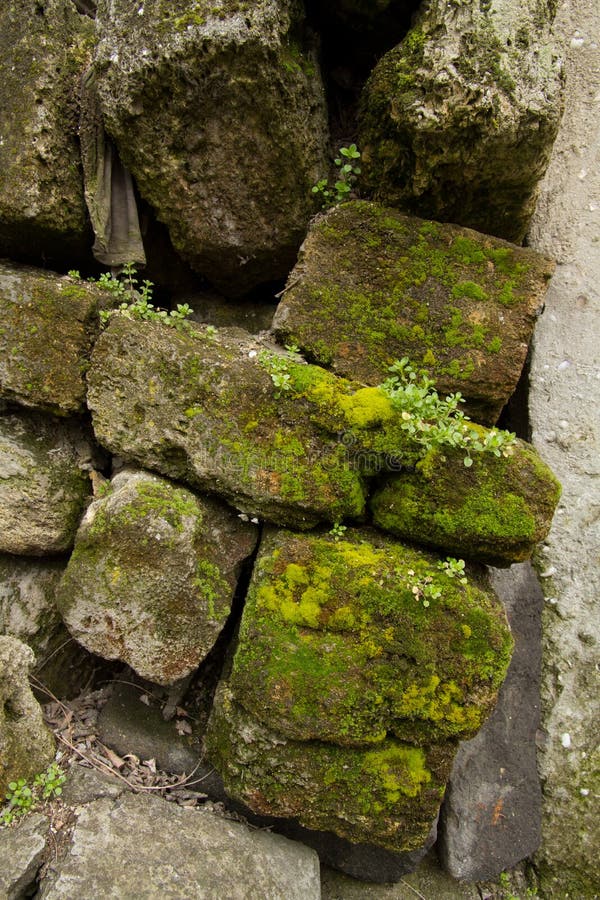 Limestone Overgrown with Moss Stock Photo - Image of sandstone ...