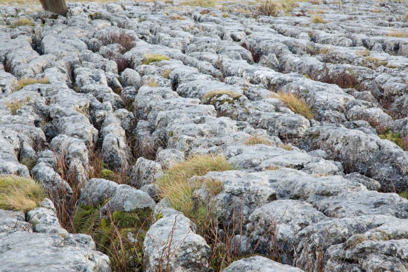 Limestone Pavement stock image. Image of winter, geological - 35821127