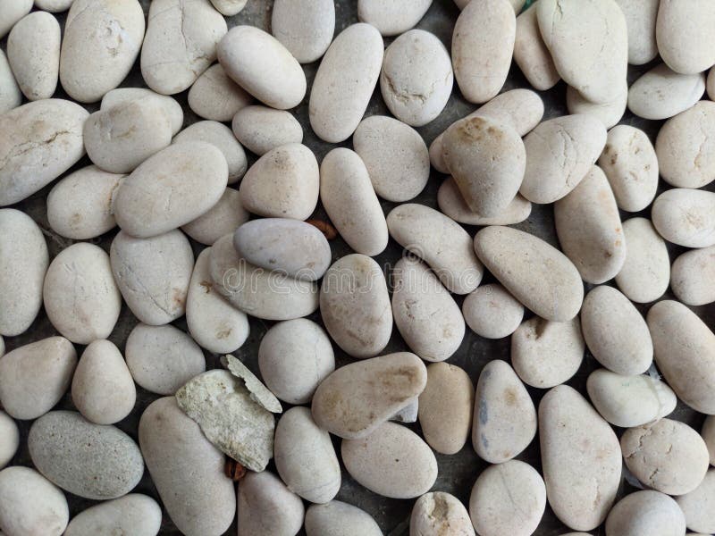 Limestone Pile Under the Floor Stock Photo - Image of limestone, food ...