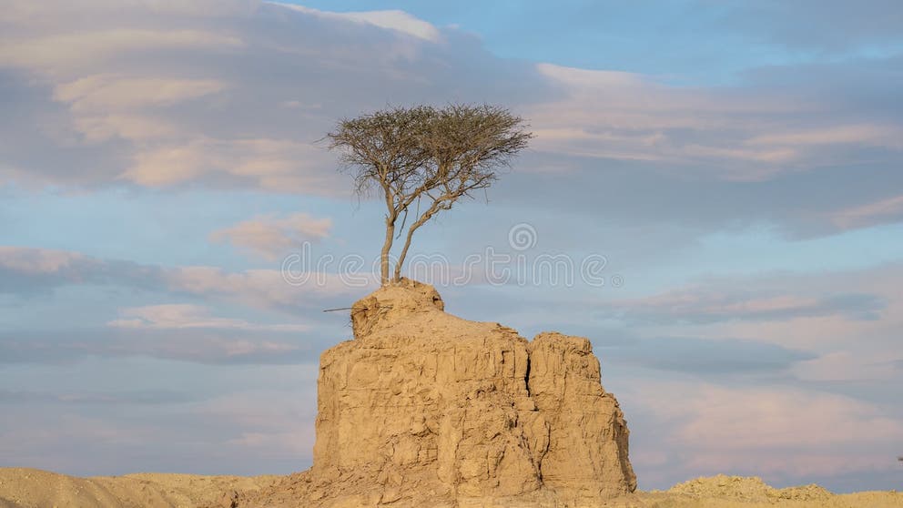 Limestone Rock Formations at the Umm Bab, Qatar Stock Photo - Image of ...