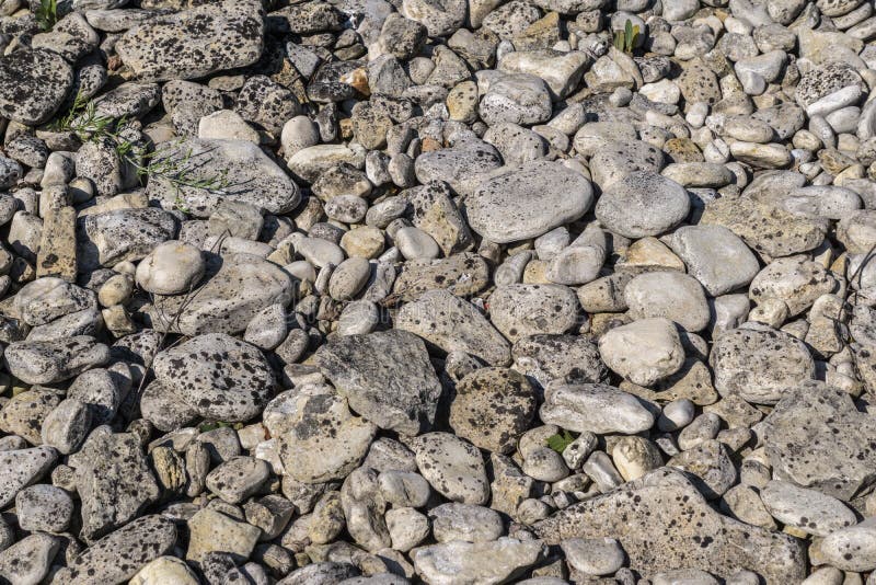 Limestone Rocks on Beach stock image. Image of burnished - 95996745
