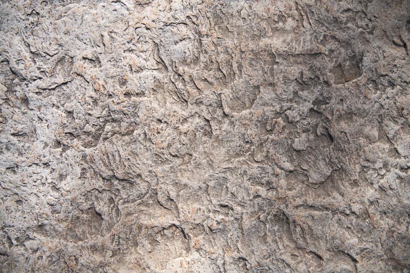 Limestone Slab with Shell Marks. Shell Rock Texture Stock Photo - Image ...
