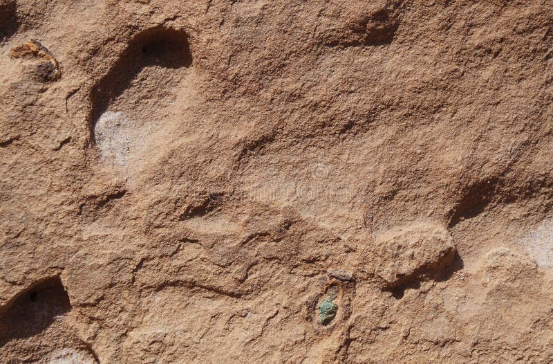 Limestone Surface in Desert Stock Photo - Image of material, concrete ...