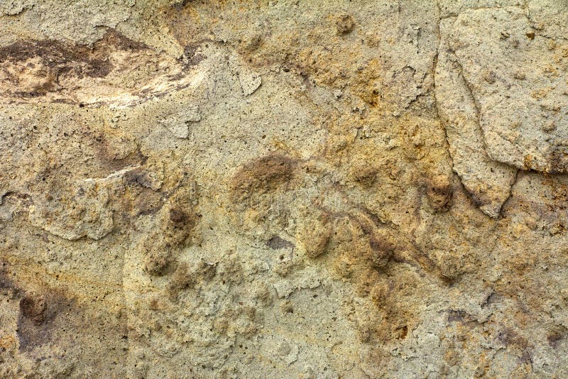 Limestone texture stock image. Image of wall, color, grunge - 65008109