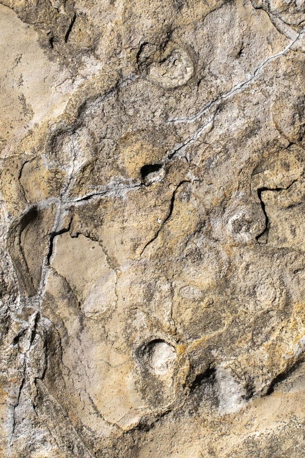 Limestone Texture Usable As Texture or Background Stock Image - Image ...