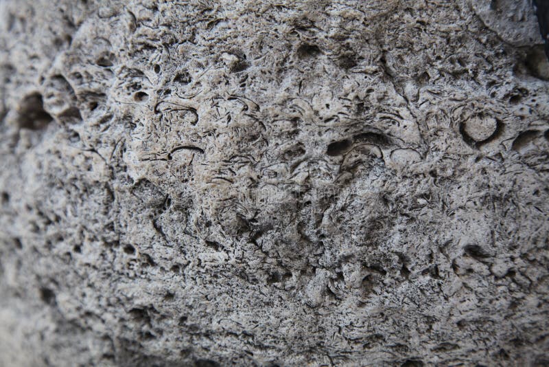 Limestone with Traces of Shells Stock Image - Image of excavation ...
