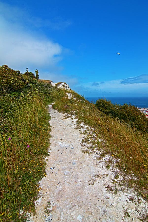 Limestone Walking Path Along the White Cliffs of Dover with Seagull ...