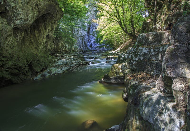 Limestone Walls and River at the Bottom Stock Image - Image of rocks ...