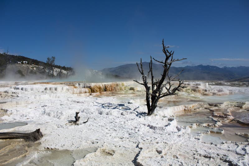 Limestone in Yellowstone National Park Stock Photo - Image of gyeser ...