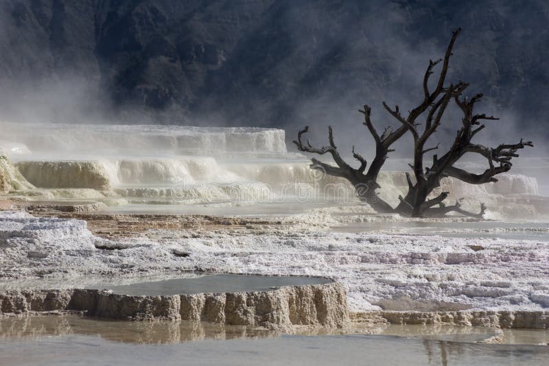 Limestone in Yellowstone National Park Stock Image - Image of geyser ...