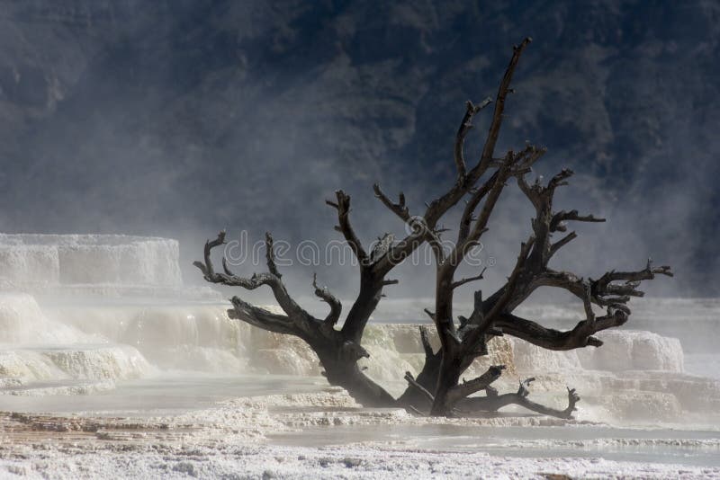 Limestone in Yellowstone National Park Stock Photo - Image of america ...