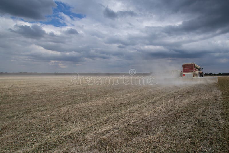 Liming stock photo. Image of fertilizer, food, production - 52199378