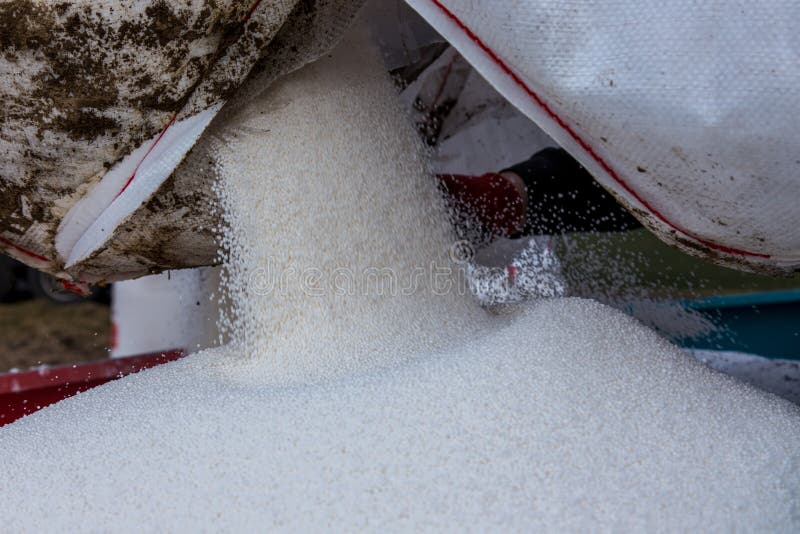 Liming stock photo. Image of dust, agriculture, manual - 51346288