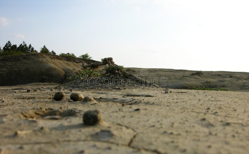 Untilled Ground Brandon Identifies 15 Ground Squirrel Hot Spots After