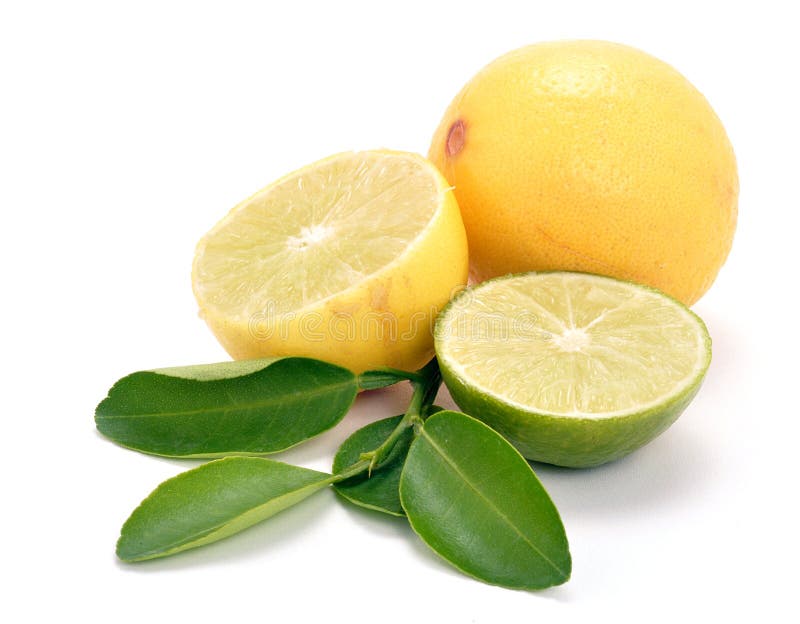 Limones imagen de archivo. Imagen de bebida, corteza - 11205855