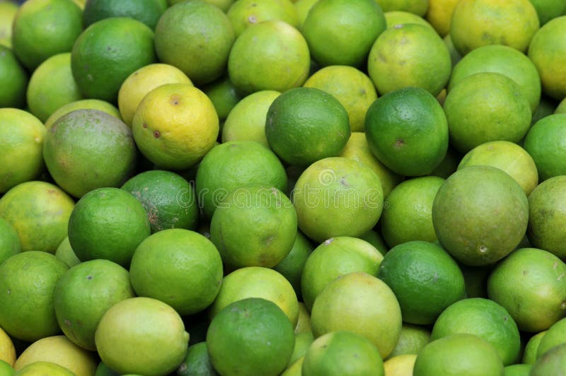 Limones En El Mercado Local Foto de archivo - Imagen de local, mercado ... Limones En El Mercado Local Foto de archivo - Imagen de local, mercado ...