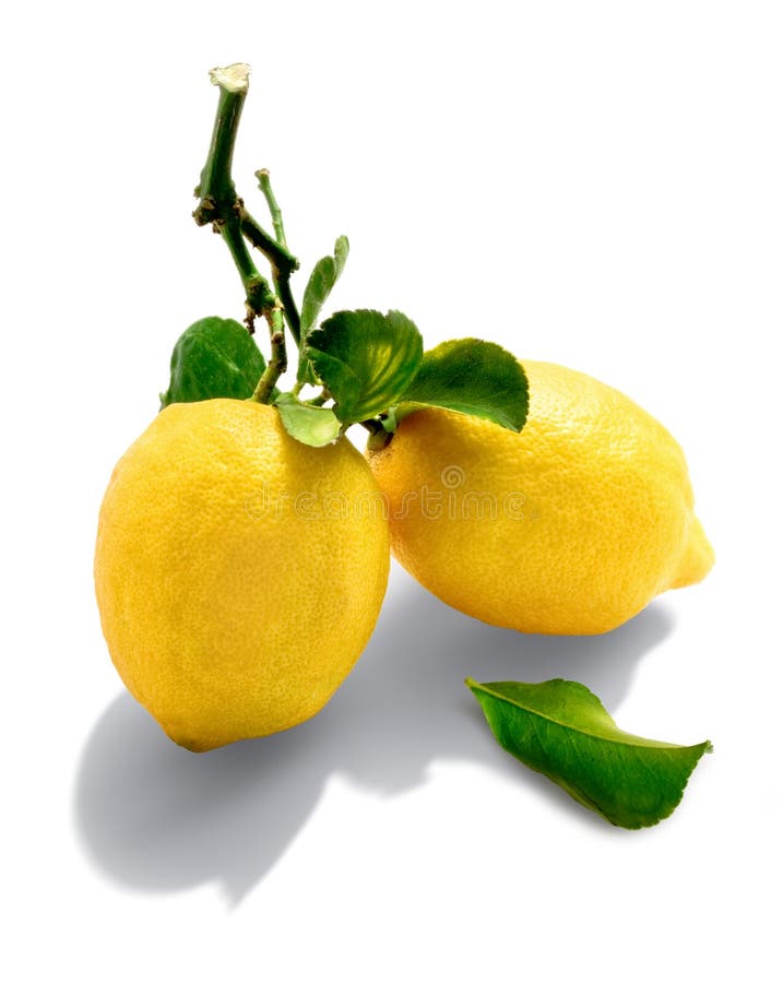 Limones naturales foto de archivo. Imagen de ingrediente - 4985822