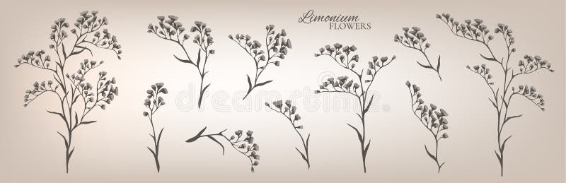 Statice Flower Tattoo