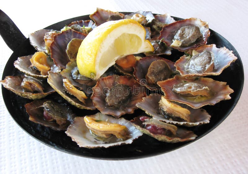 Limpets grelhados imagem de stock. Imagem de console, aperitivo - 5537119