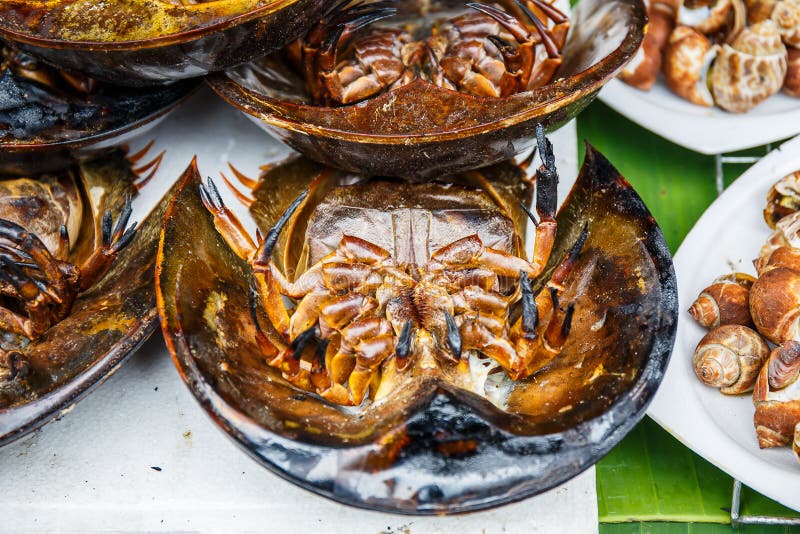 Limulo immagine stock. Immagine di asia, fresco, seafood - 55095527