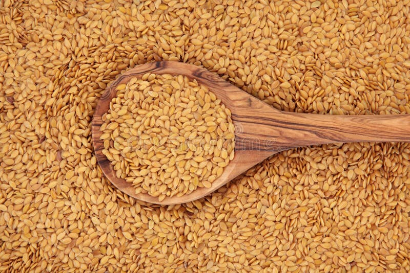 Linaza imagen de archivo. Imagen de cucharada, sano, salud - 30928471